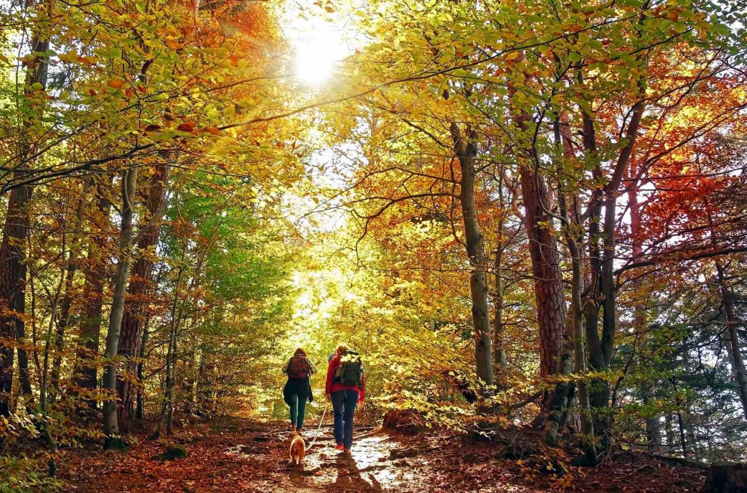 Walking/Hiking Trails - Active Altoona